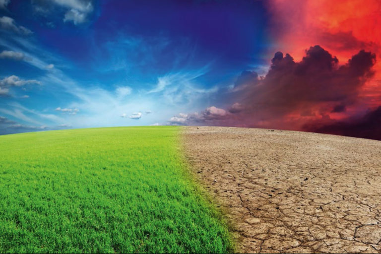 Оцінка впливу на навколишнє середовище ТОВ «Екоренсінг